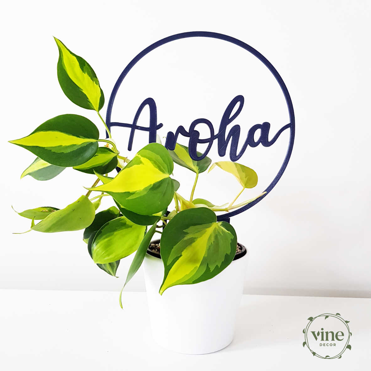 Aroha Climbing Frame - Vine Decor