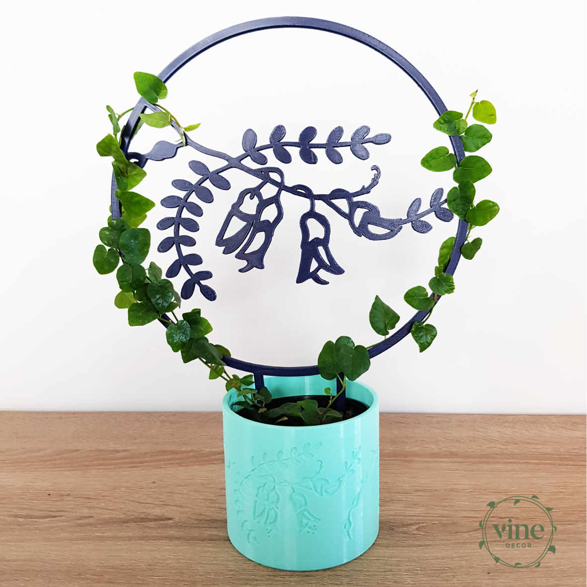 Kowhai Climbing Frame - Vine Decor
